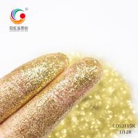 China Cosmetic Grade Glitter Holographic Lip Gloss Face PET Pigment Customized for sale