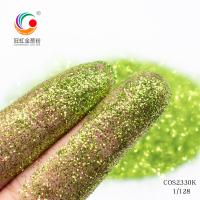 China Cosmetic Grade Glitter Holographic Lip Gloss Face PET Pigment Customized for sale