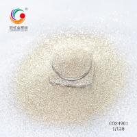 China Highlight Silver Champagne Loose Cosmetic Glitter Powder Eye Coating Pigment for sale