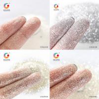 China Highlight Silver Champagne Loose Cosmetic Glitter Powder Eye Coating Pigment for sale