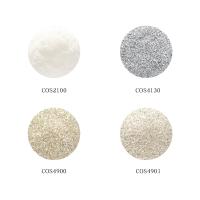 China Highlight Silver Champagne Loose Cosmetic Glitter Powder Eye Coating Pigment for sale