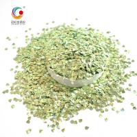 China Colorful 3D Neon Nail Glitter Dust Sequin Pigment Sparkly Body Powder for sale
