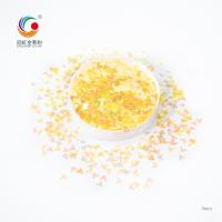 China Fine Christmas Makeup Nail Lip Glitter Powder Dust Rainbow PET Chunky Mickey Shape Flakes for sale