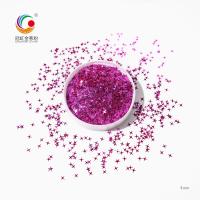 China Star Flash Series PET Loose Glitter Powder Dust Quicksand Butterfly for sale