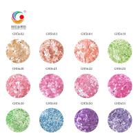 China Christmas Decoration Supplies Bulk Mica PET Glitter Powder For Makeup OEM for sale