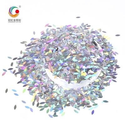 China 2.5mm Silver Laser Holographic Chunky Glitter Powder - 25-50 Microns PET Material for Crafts & Decorations for sale