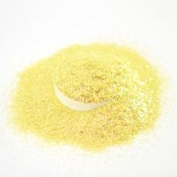China Eco-Friendly PET Glitter Powder 1/8