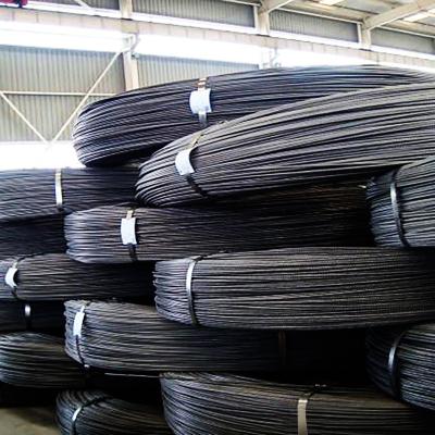 China Carbon Steel Mild Steel Wire Nails JIS G3507 SWRCH22K 35K Cold Heading 6.5mm to 20mm for sale