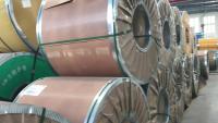 China 316 Grade Stainless Steel Coil Strip Coated Surface Treatment for sale