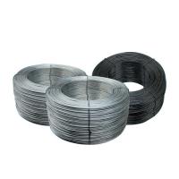 China High Carbon Steel Wire 500-2000 MPa Tensile Strength Hot Dip Galvanized 40-220g for sale