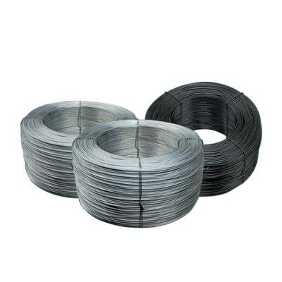 China High Carbon Steel Wire 500-2000 MPa Tensile Strength Hot Dip Galvanized 40-220g for sale