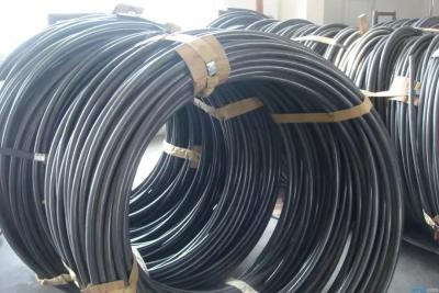 China High Carbon Steel Wire for Pipe Binding Elongation 12% Tensile 500-2000 MPa for sale