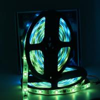 China DC12V App Remote Rgb Rgbic Led Light Strip Light Waterproof Programmable for sale