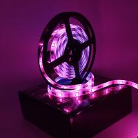 China 5050 SMD IP65 Waterproof RGB Led Strip Lights Smart App Music Symphony for sale