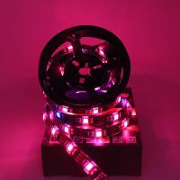 China C02 magic tv usb flexible color changing smart app 5050 smart rgb waterproof Led strip lights for sale