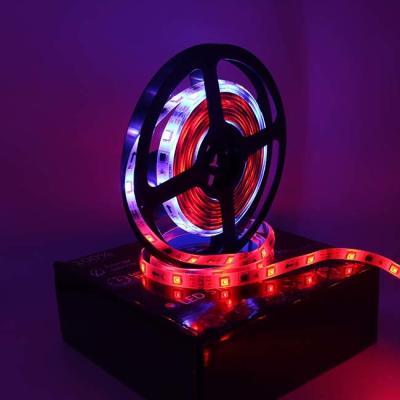 China Smd 5050 12v Waterproof Rgb Led Strip Lights Dreamcolor Pixel Ws2811 for sale