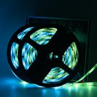 China 10m Waterproof Tuya Magic Dreamcolor LED Strip Lights 12v Ws2811 Rgb 5050 for sale