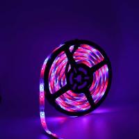 China Remote Contol Dreamcolor LED Strip Lights Smd 2835 Ws2812 2811 for sale