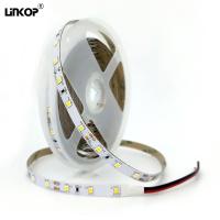 China Flexible Self Adhesive LED Strip Light 12V Non Waterproof With Double Panel / 120 Lights/Meter for sale