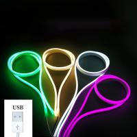 China Flexible LED Neon Tube Light Silicone Tube LED Strip Waterproof IP67 for sale
