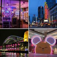 China Flexible Led Neon Light Tube 12w/M Ip67 Addressable LED Neon Strip for sale