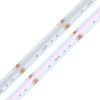 China Rgbw Cob Led Light Strip 24v 12mm 784leds/M Light Lamp IP20 5 Pin LED Strip Lights for sale