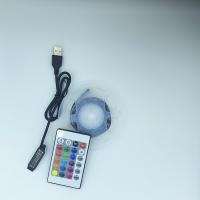 China IP65 2M 2.4W RGB Ribbon Lights for sale