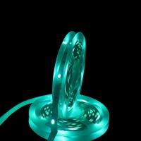 China IP20 13W DC12V 6M Outdoor LED Light Strips for sale
