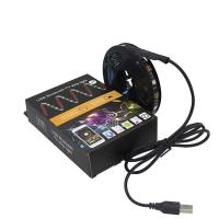 China AC220V 10M DC12V Flex LED Strip Light Rope Light Kit for sale