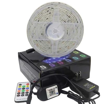 China IP20 24W 5M Dreamcolor Music LED Strip Lights for sale