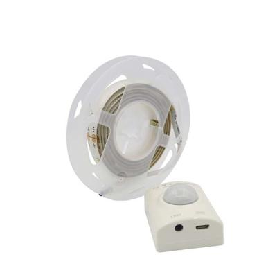 China 3000K 2.4W 1M LED Strip Lights Under Bed for sale