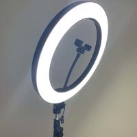 China SMD2835 20W 14inch Dimmable LED Ring Light for sale