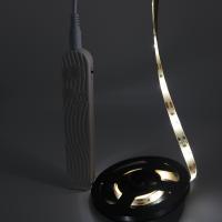 China SMD2835 DC12V 3M Battery Powered LED Strip Light for sale