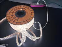 China Warm White 70LED/M 1300LM SMD2835 Flex LED Strip Light for sale