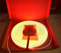 China 5M IP65 Waterproof 12W/M SMD5050 84LED/M Neon Rgb Light for sale