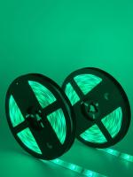 China IP65 30LEDs/M SMD5050 RGB Led Strips Light Music Sync for sale
