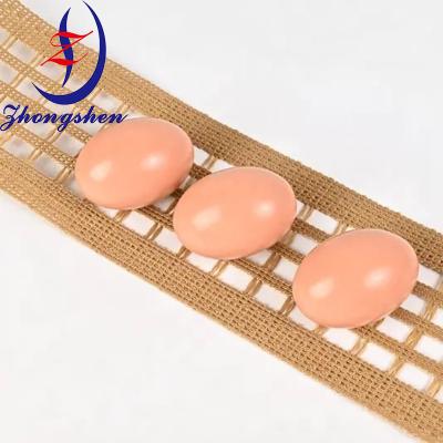 China Poultry Farm PP Perforated Mesh Conveyor Belt For Egg Collection for sale