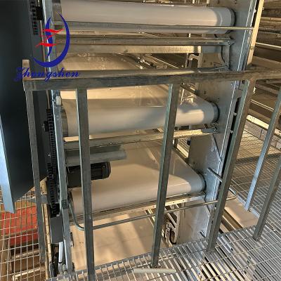 China PP Chicken Manure Belt Poultry Farm Automatic Manure Removal Manure Tape for sale