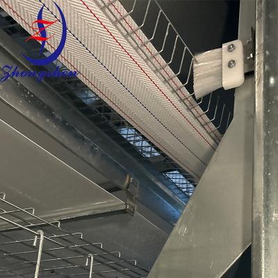 China Zhongshen High-Strength Egg Collection Belt for Layer Cage Systems for sale