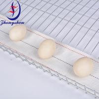 China Zhongshen Premium Nylon Egg Conveyor Belt PP2 For Poultry Chicke Farm for sale