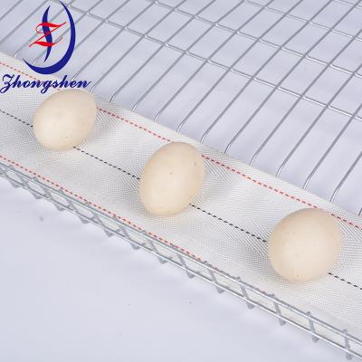 China Zhongshen Premium Nylon Egg Conveyor Belt PP2 For Poultry Chicke Farm for sale