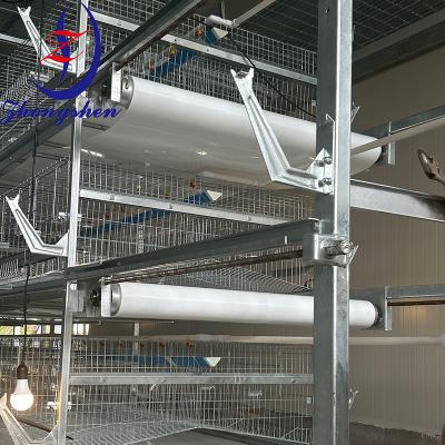 China Zhongshen Poultry Manure Conveyor Belt – Poultry Manure Cleaning System for sale
