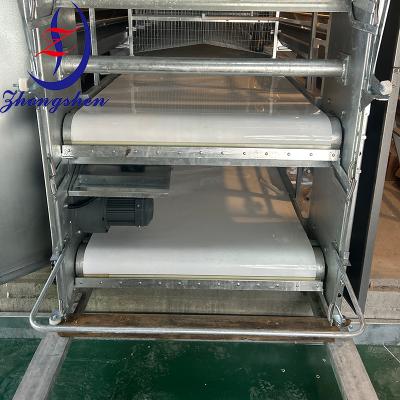 China Poultry Manure Conveyor Belt 0.5M-2.5M Width PP/PE Material for sale