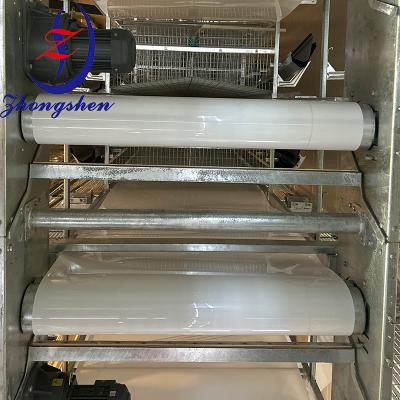 China Poultry Manure Conveyor Belt 0.5M-2.5M Width PP/PE for Chicken Farms for sale