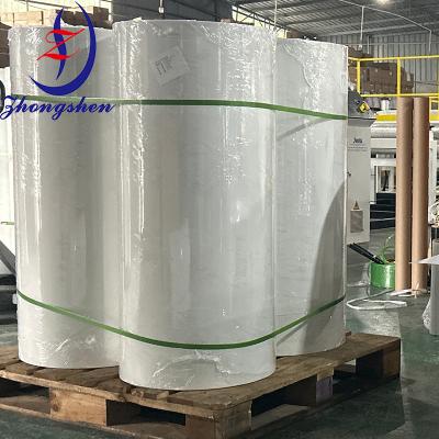 China Zhongshen PP Manure Belt for Poultry Farms 0.5M-2.5M Width for sale