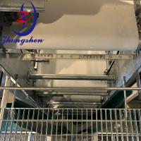 China Zhongshen Brand Manure Removal Belt-China Top Poultry Manure Belt Factory for sale