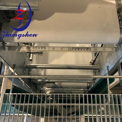 China Zhongshen Brand Manure Removal Belt-China Top Poultry Manure Belt Factory for sale