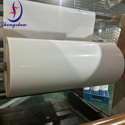 China Zhongshen Premium PP/PE Manure Belt — Poultry Farm Manure Removal Belt Supplier for sale