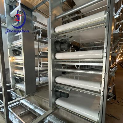 China Zhongshen Premium PP/PE Manure Conveyor Belt for Poultry Farms for sale