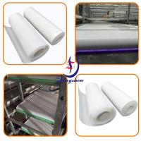 China Chicken Coop PP material Manure Conveyor Belt for Poultry Chicken Cage for sale